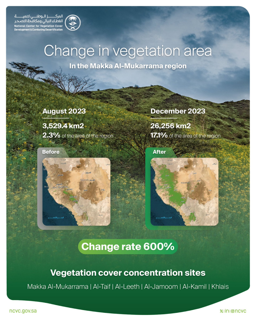 The greenery in the Mecca Region has gone bonkers, shooting up by over ...